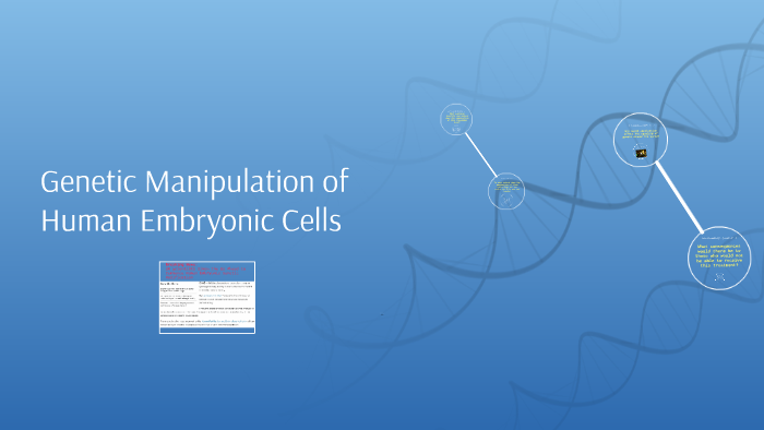 Genetic Modification of Human Embryos by Samantha Morales on Prezi
