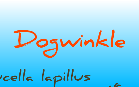 Dog Winkle by Alex Garcia on Prezi