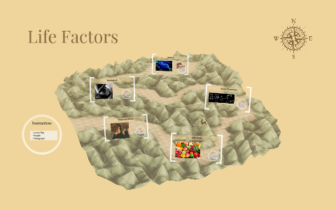 Life Factors by Megan Fawcett on Prezi
