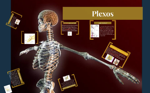 Plexos by Jesus Villa on Prezi