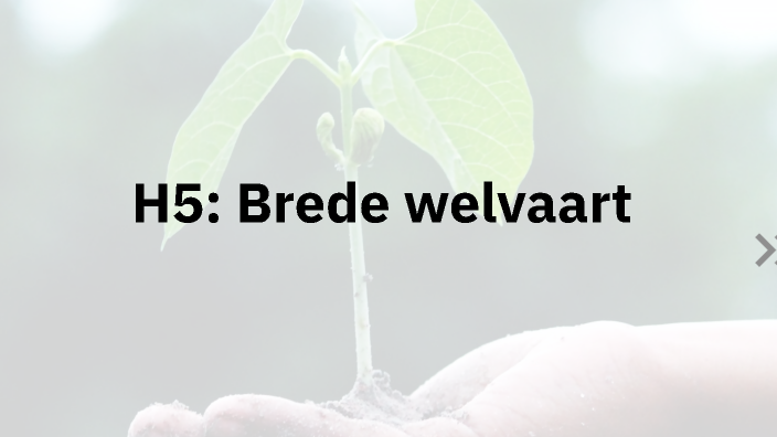 Thema 3: H5: Brede welvaart by Joris Raven on Prezi