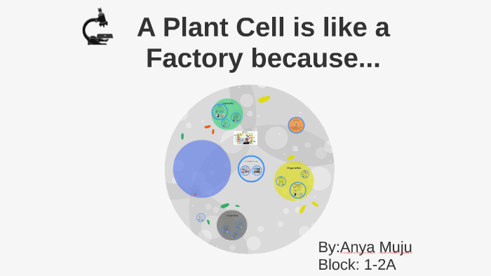 A Plant Cell is like a Factory... by Anya Muju on Prezi
