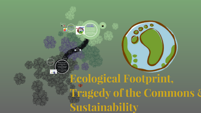 Ecological Footprint, Tragedy of the Commons, Overshoot Day ...