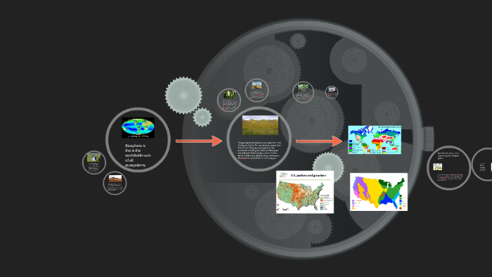 Biosphere is the is the worldwide sum of all ecosystems. by Rafael ...