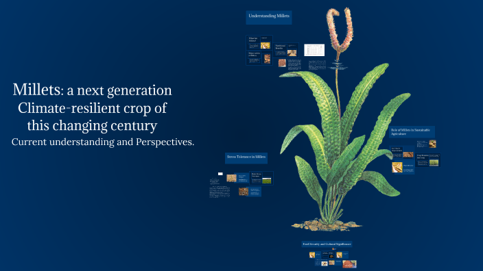 Millets: A Climate-Resilient Crop for the Future by mahar sheetal on Prezi