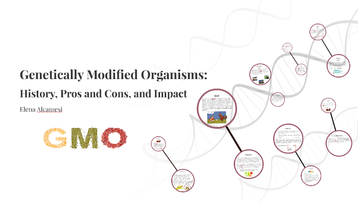 Genetically Modified Organisms: History, Pros and Cons, and by Elena ...