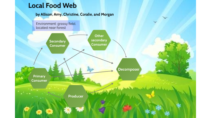Local Food Web by Christine Holl on Prezi
