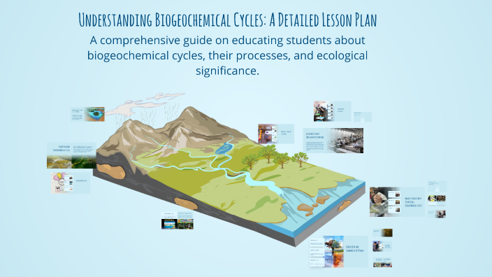Understanding Biogeochemical Cycles: A Detailed Lesson Plan by John ...