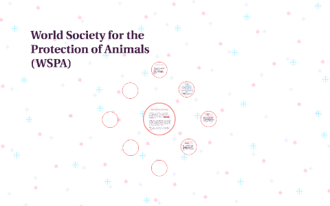World Society for the Protection of Animals (WSPA) by Emma Sorensen on ...