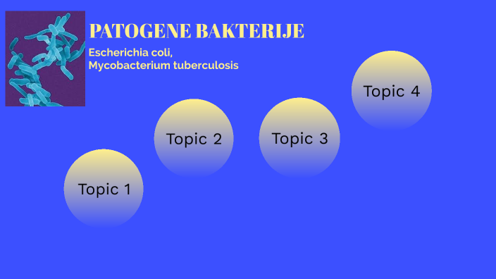 PATOGENE BAKTERIJE by Lucija Nikolić on Prezi