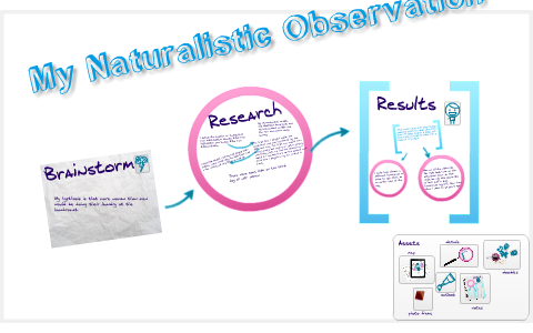 More women than men go to the laundromat by Laura Zann on Prezi