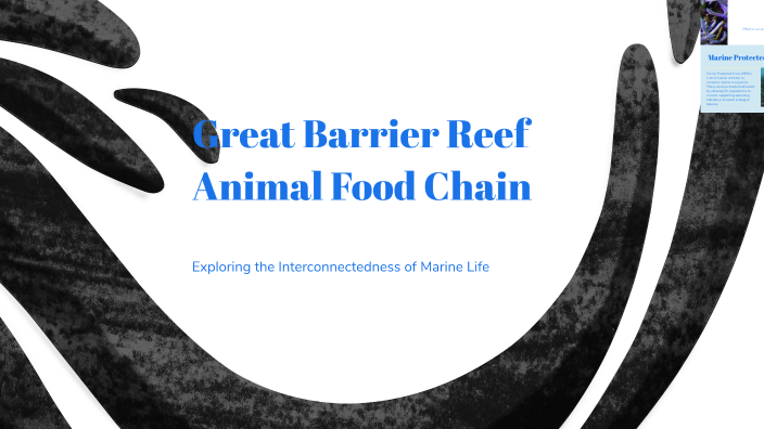 Great Barrier Reef Animal Food Chain by Ella-Rose McDermott on Prezi