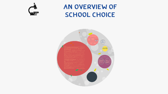 An Overview of School Choice by Cheyenne Dunbar on Prezi