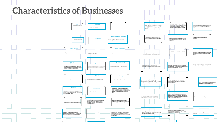 Characteristics of Businesses by Quinton Ledbetter on Prezi