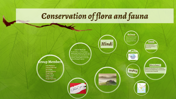 Conservation of flora and fauna by Hitik Malhotra on Prezi