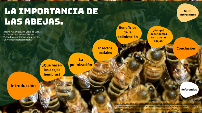 La Importancia De Las Abejas By Regina Asali On Prezi