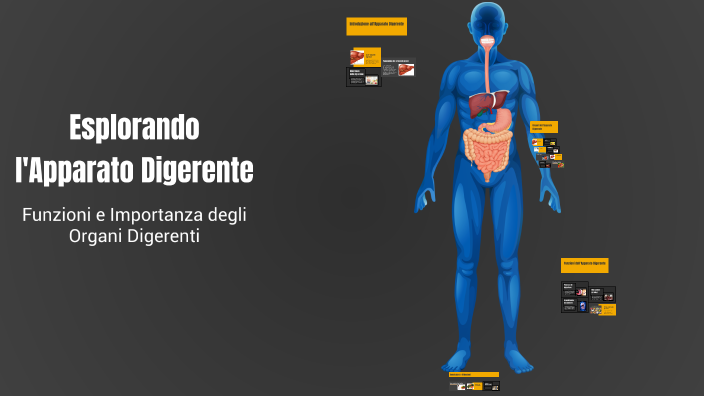 Esplorando l'Apparato Digerente by Irene Soliman on Prezi