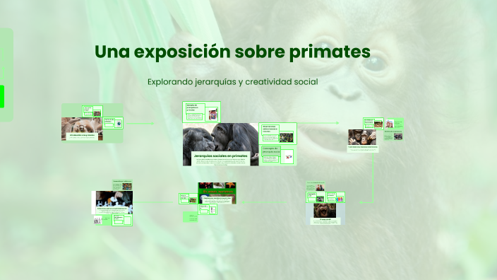 Una exposición sobre primates by Nataly Martinez Vargas on Prezi