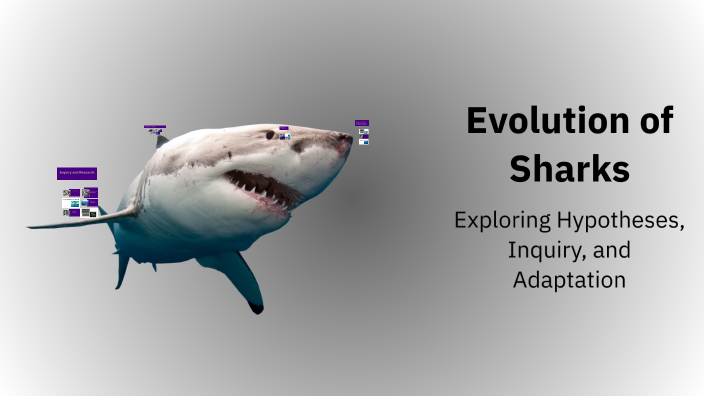Evolution of Sharks by Jackson Hannan on Prezi