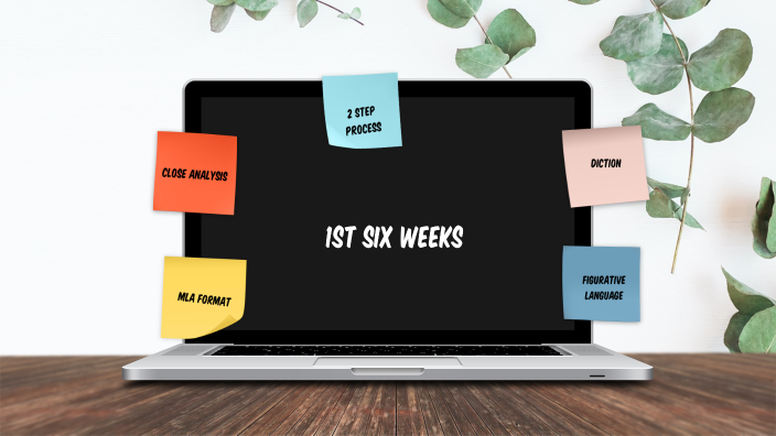 1st six weeks by Emilia Lawson on Prezi