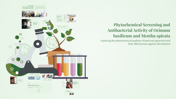Phytochemical Screening and Antibacterial Activity of Ocimum basilicum ...