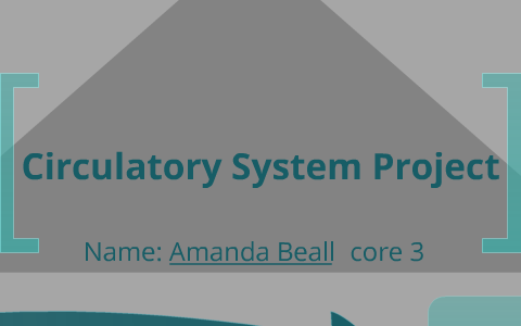 Circulatory System Project by Amanda Beall