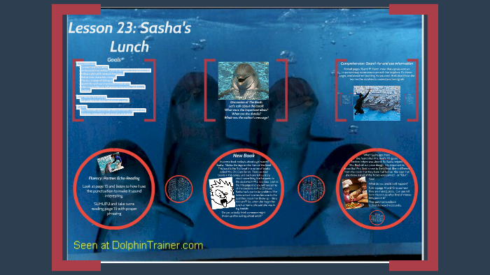 Lesson 23: Sasha's Lunch by Jimmy Simmons on Prezi