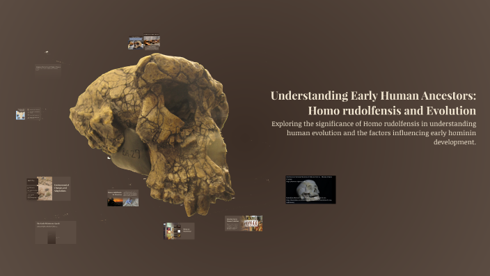 Understanding Early Human Ancestors: Homo rudolfensis and Evolution by ...