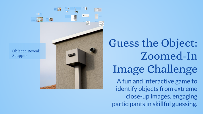 Guess the Object: Zoomed-In Image Challenge by Chelsie Tackebury on Prezi