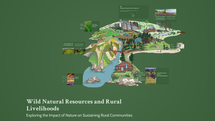 Wild Natural Resources and Rural Livelihoods by Tshepang Tlali on Prezi