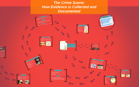 The Crime Scene: How Evidence is Collected and Documented by nicole ...
