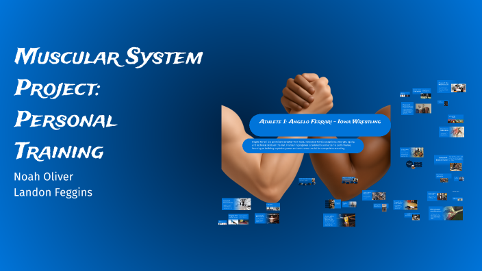 Muscular System Project: Personal Training by Noah Oliver on Prezi