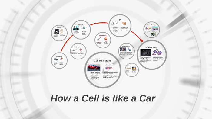 How a Cell is like a Car by Hailey Shewchuk on Prezi