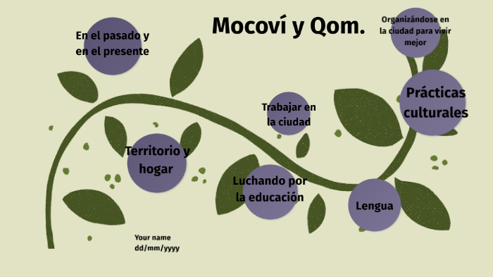 Pueblos mocoví y qom en los espacios urbanos de la provincia de Santa ...