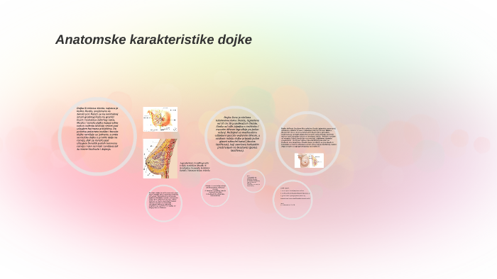 ANATOMIJA DOJKE by Zdravković Sanja on Prezi