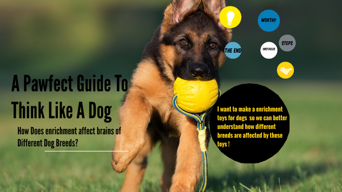 Phychology Of Dogs by Alyson Alvarez on Prezi