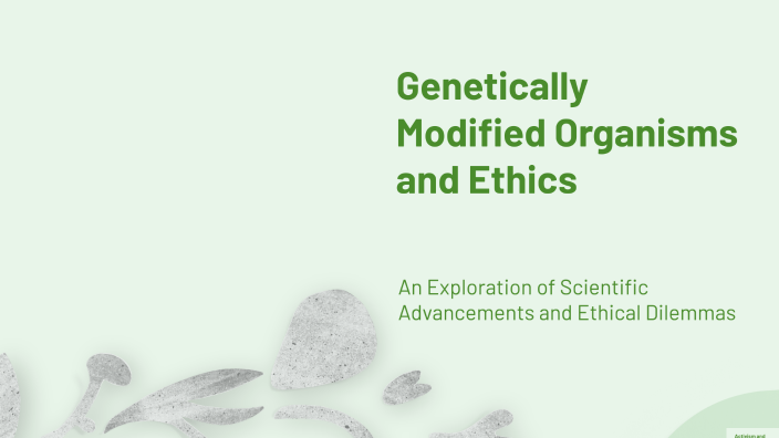 Genetically Modified Organisms and Ethics by Mine Gokcay on Prezi