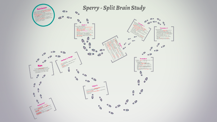 Sperry - Split Brain Study by Holly Clarke on Prezi