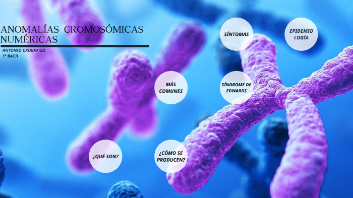 ANOMALÍAS CROMOSÓMICAS NUMÉRICAS by Antonio Criado on Prezi