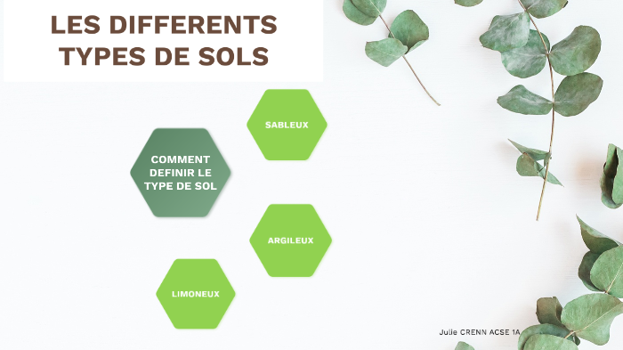 Les différents types de sols by Julie Crenn on Prezi