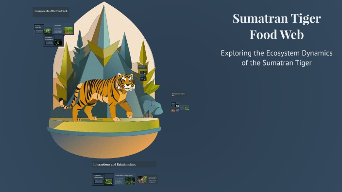 Sumatran Tiger Food Web by Silk Joestar on Prezi