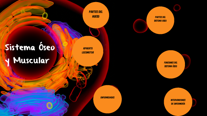 sistema oseo y muscular by Daniela Calderas on Prezi