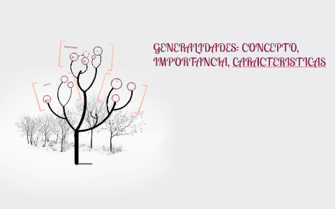 GENERALIDADES: CONCEPTO, IMPORTANCIA, CARACTERISTICAS by Maude Latham ...