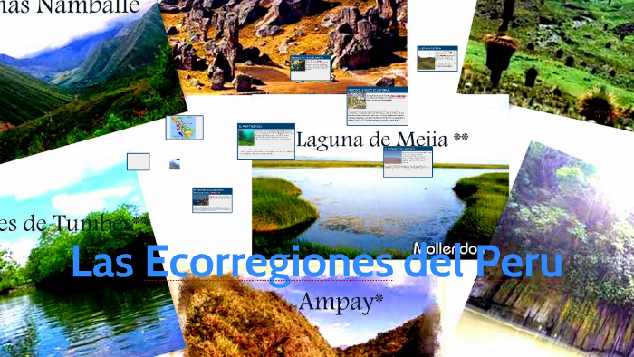 Las Ecorregiones del Peru by williams torre on Prezi