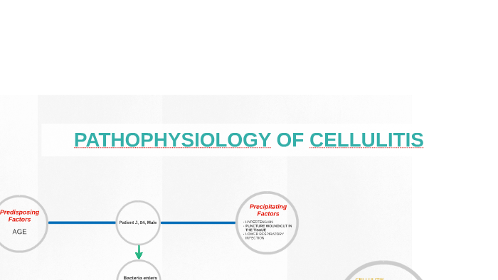 PATHOPHYSIOLOGY OF CELLULITIS by Neil John Aquino on Prezi