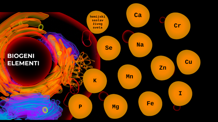 biogeni elementi by Sara Savić on Prezi