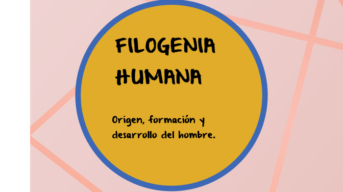 Filogenia humana by Mireya Velazquez on Prezi