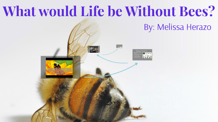 What is Life Without Bees? by Melissa Herazo on Prezi