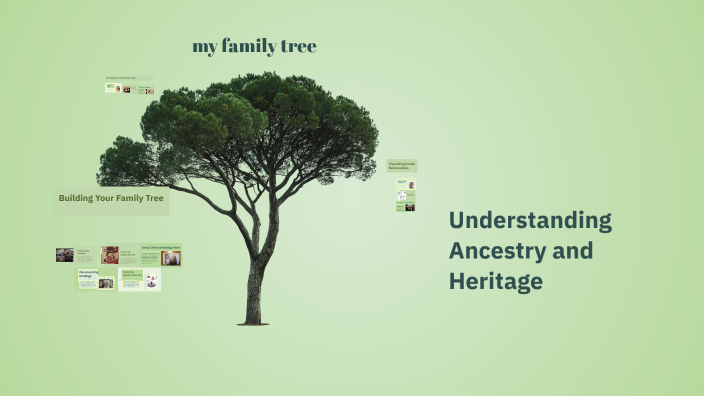 Exploring Our Family Tree by henry salazar on Prezi