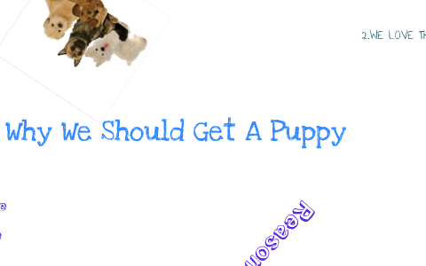 Why We Deserve A Dog by Sara MacPhee on Prezi